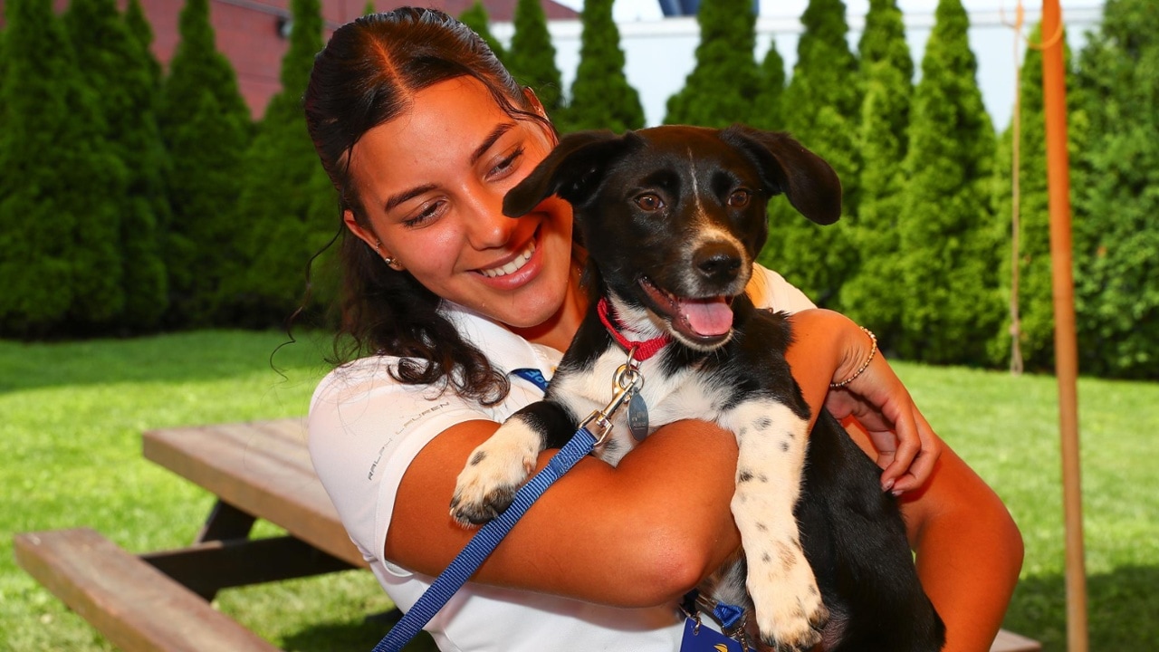Best photos from around the grounds on Day 7 of 2024 US Open Fan Week ...
